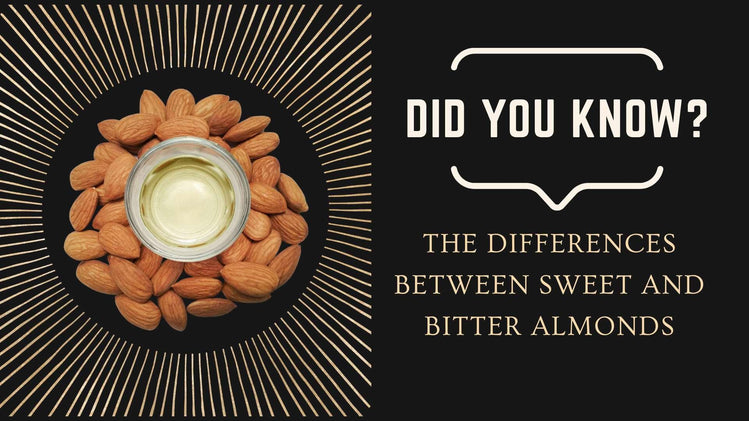 The differences between sweet and bitter almonds – Sindhi Dry Fruits
